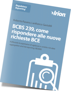 Risk data: what changes with the RDARR Guidelines and 5 steps for ...